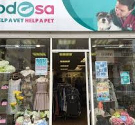 PDSA Animal Charity | See and Do Sudbury